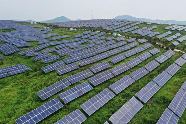 Macheng Songbu Orchard Farm – 40MW, PV + Agriculture - Rinxin Solar