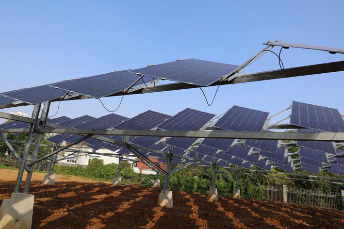 Agriculture + PV Complementary Project 2 - Rinxin Solar