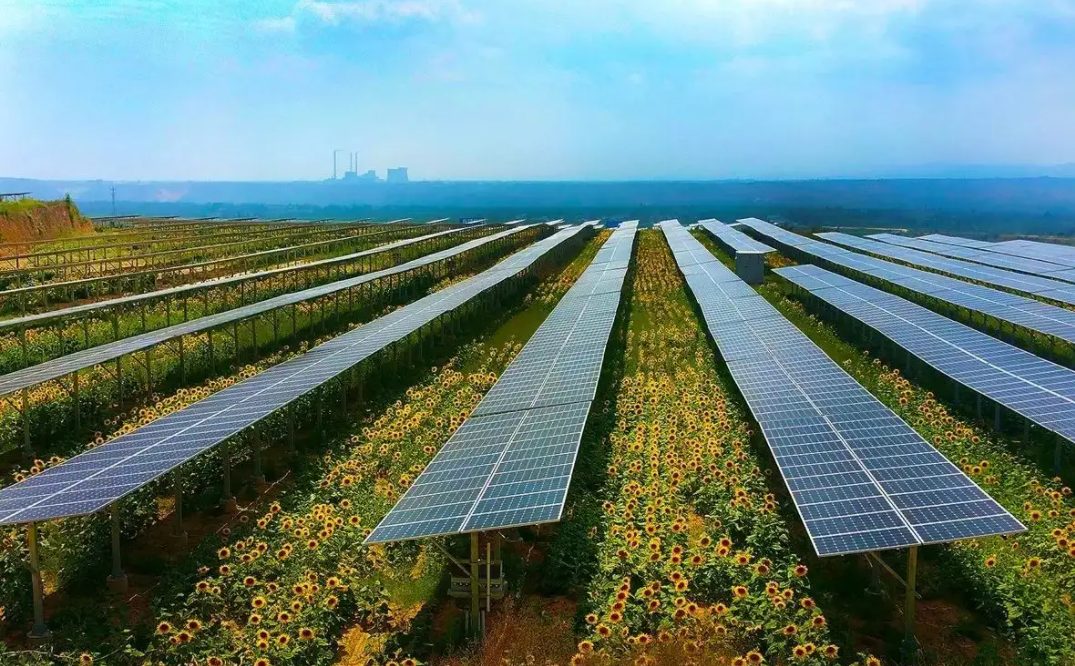 Biggest scale grid-connected PV power station in central China when ...