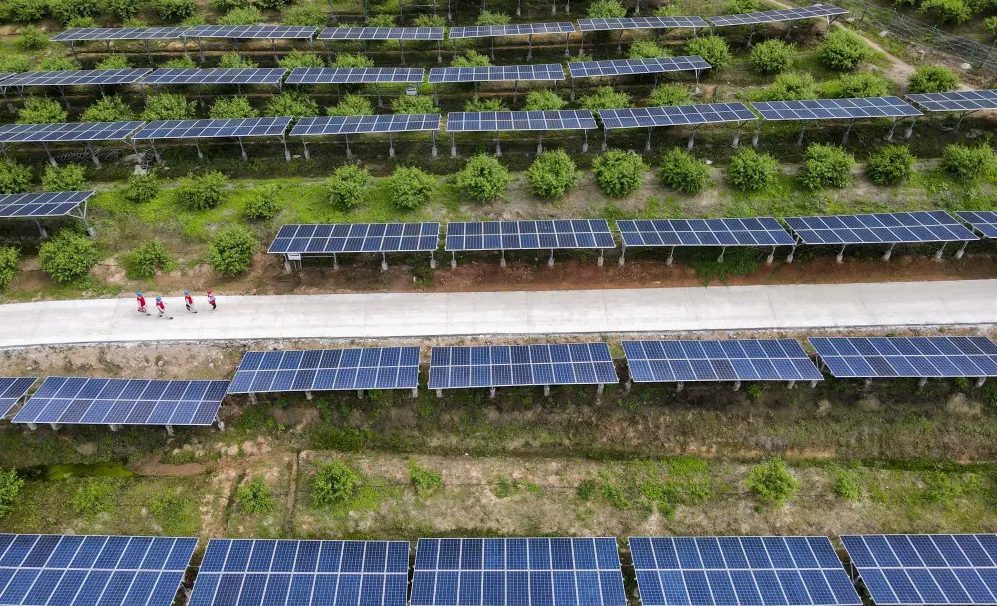 Agriculture + PV Complementary Project 1 - Rinxin Solar