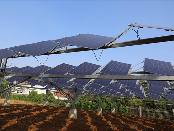 Agriculture + PV Complementary Project 2 - Rinxin Solar